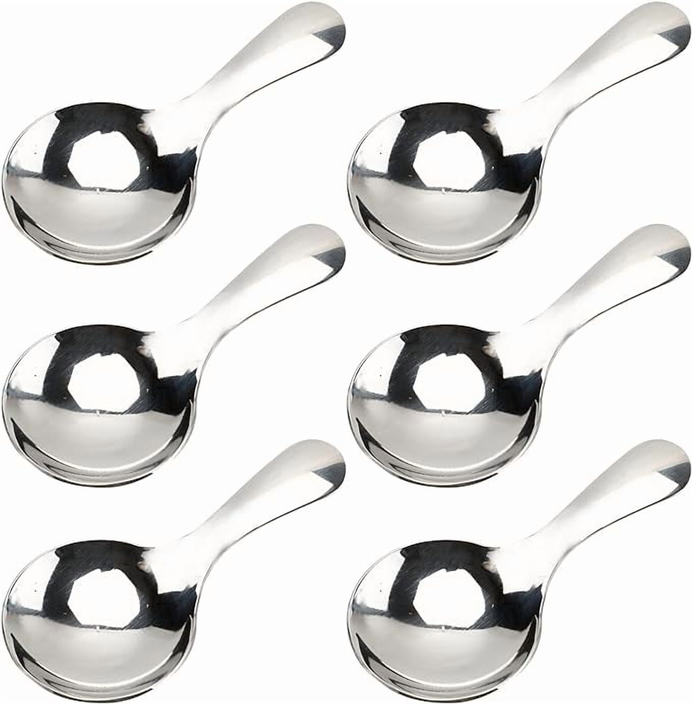 6 Piece Small Spoons for Condiments - 304 Stainless Steel Spice Spoons ...
