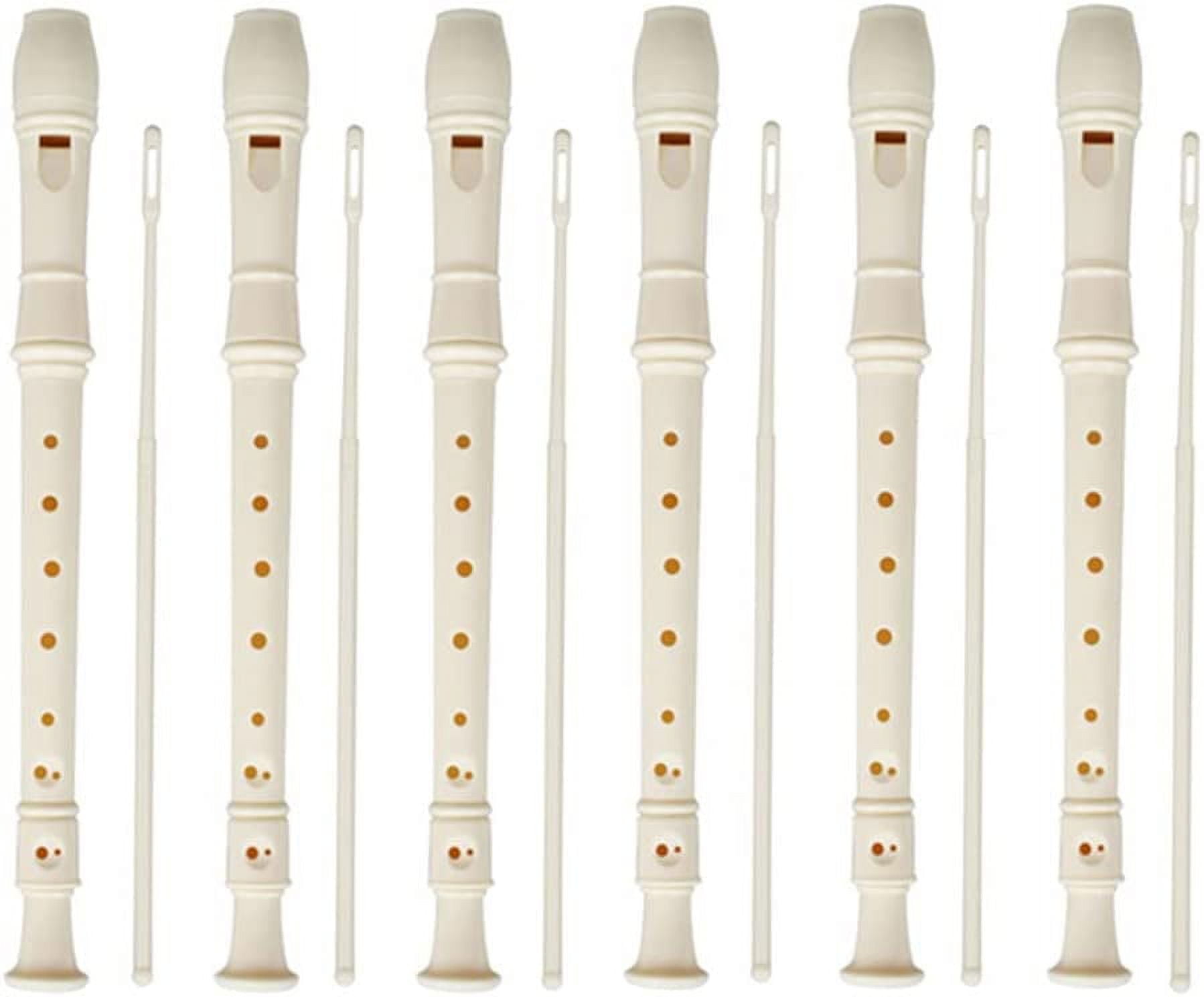 6 Pieces 8 Hole Descant Soprano Recorder for Kids, Plastic Music ...