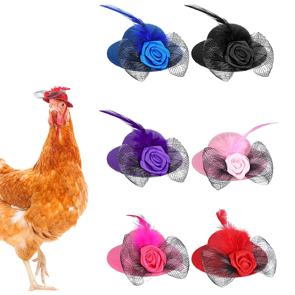 6 Pieces Chicken Hats for Hens Tiny Pets Funny Chicken Accessories ...