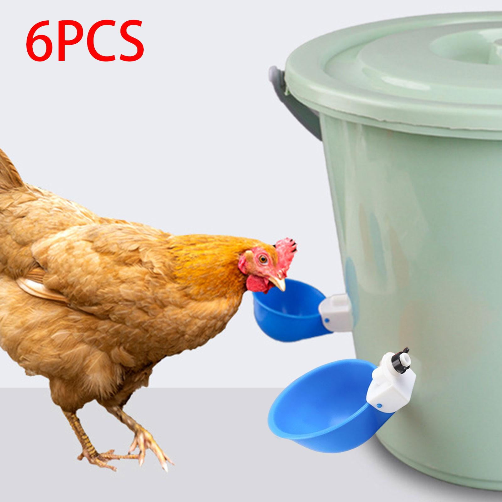 6 Pieces Chicken Water Cups Farm Tools Chicken Waterer Poultry Feeder ...