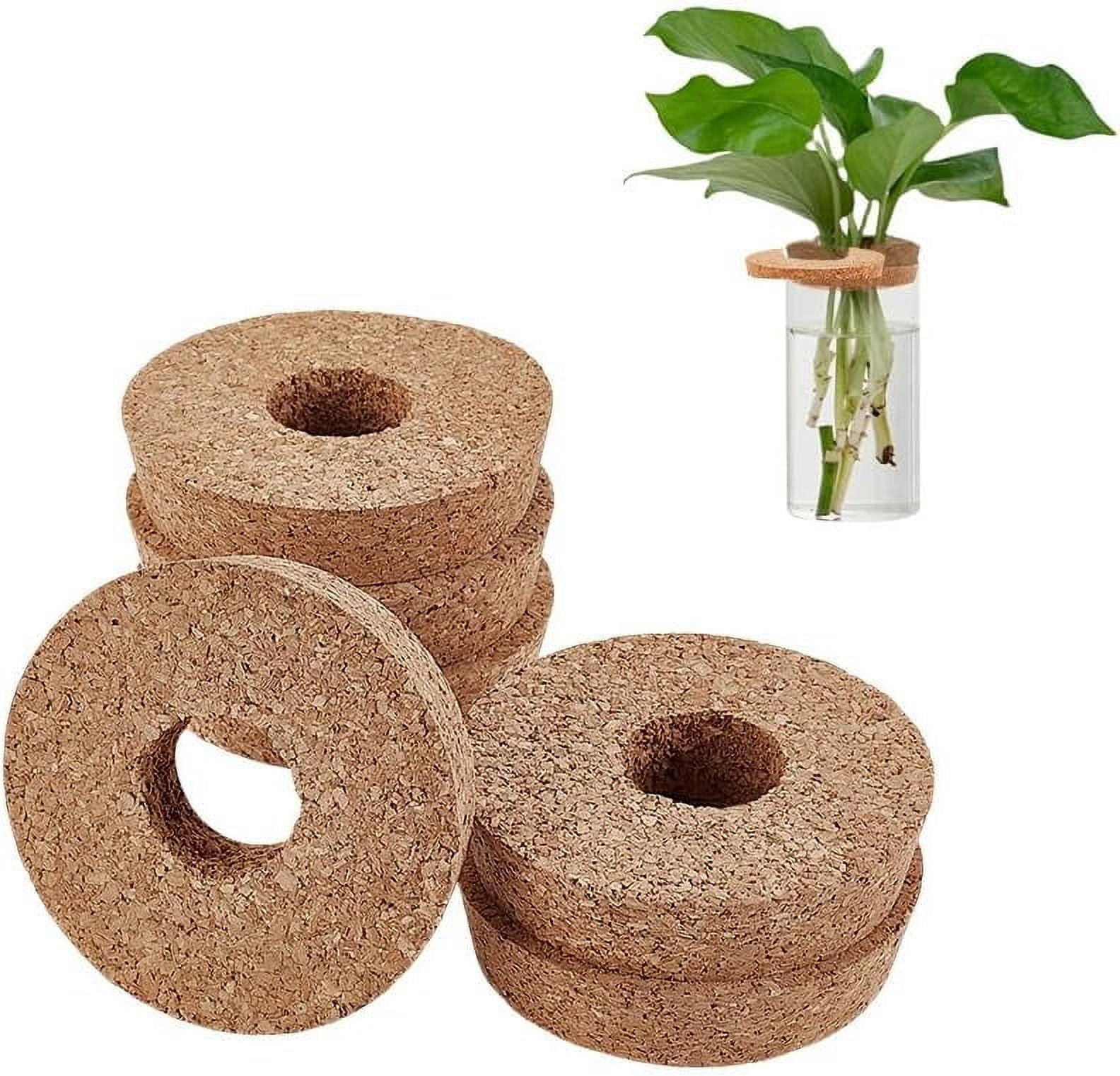 6 Pieces Cork Lids for Glass Planter 3.5 Inch Dia Plant Cork Stopper ...