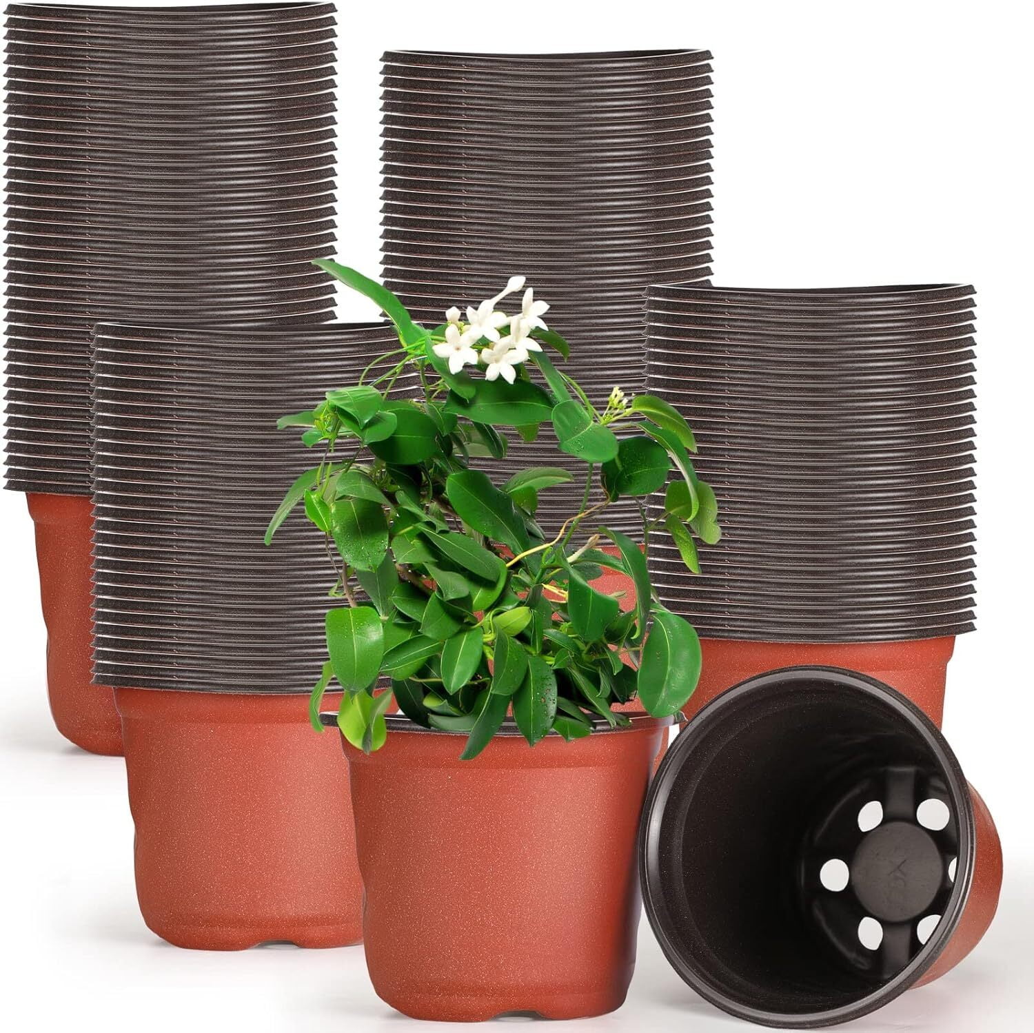6" Plastic Plant Nursery Pot/Pots,200 Pack Plant Pot with Drainage ...
