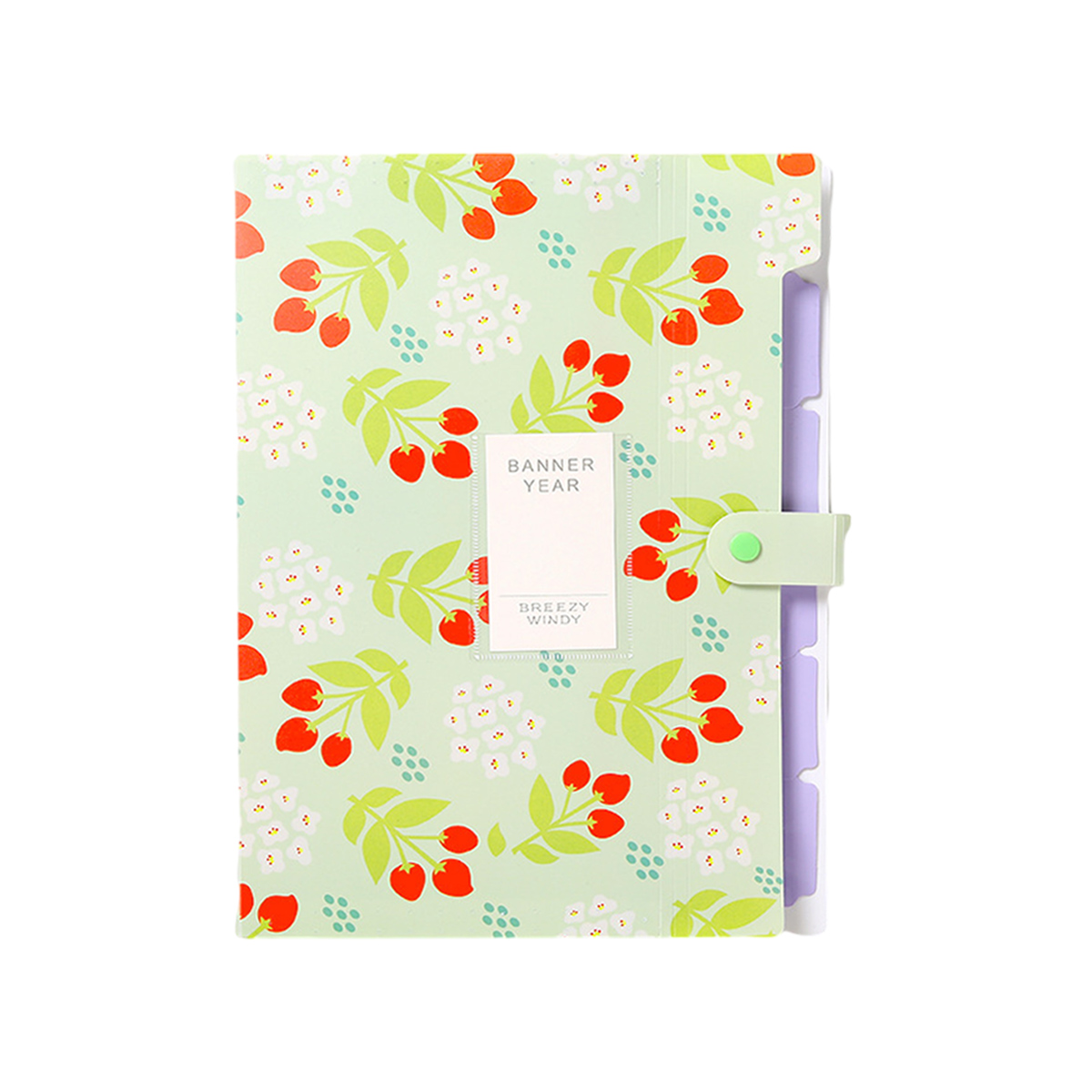 6-Pocket Letter/A4 Organizer for Expanding Documents Floral Print ...