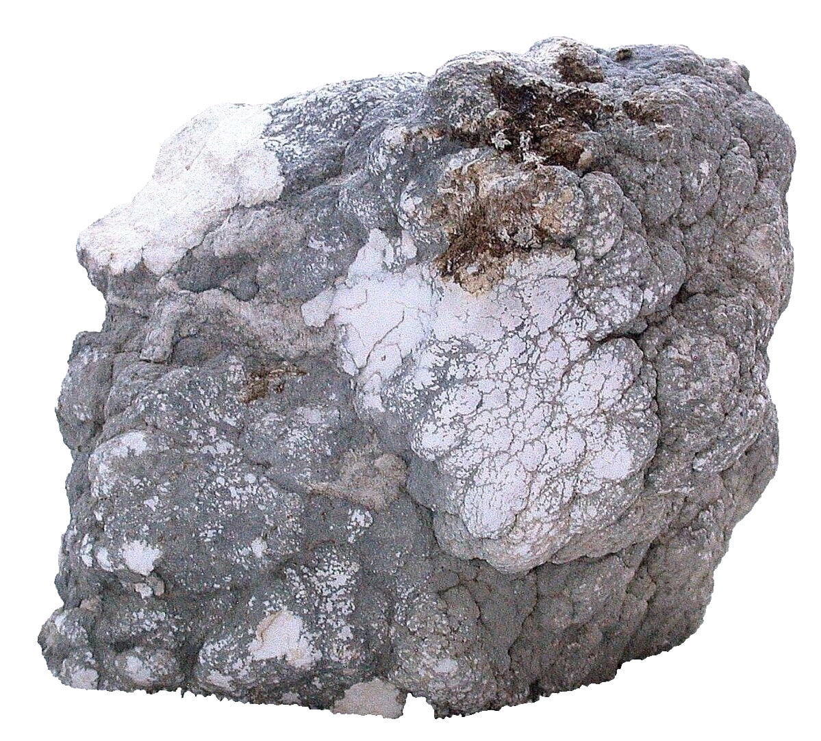 6 Pound 14.7 Ounce 3136 Gram Buffalo Turquoise Magnesite Cab Rough ...