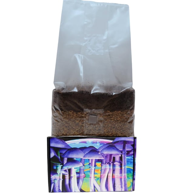6 Pound Magic All in One Mushroom Grow Bag - Walmart.com
