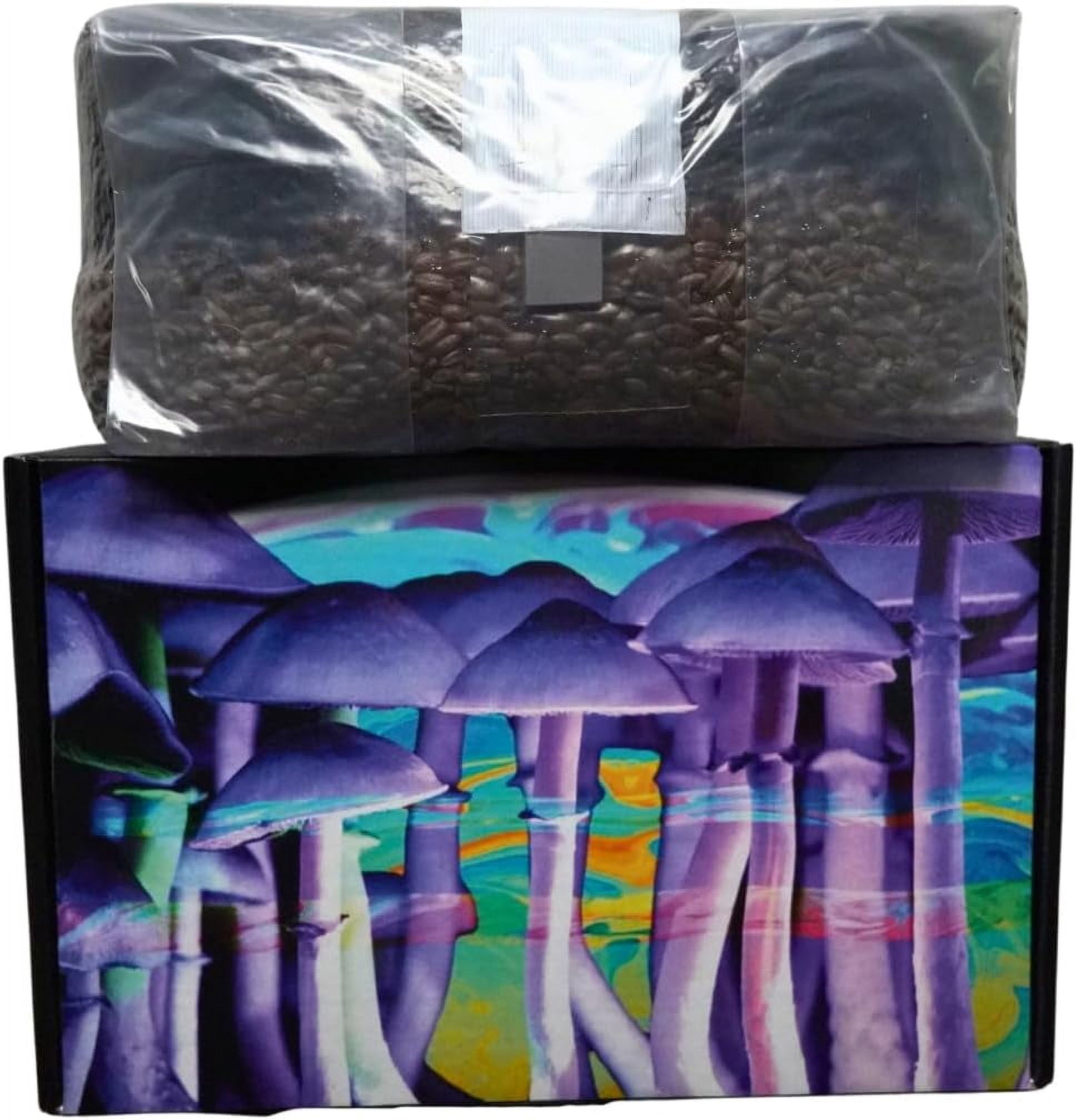 6 Pound Mushroom Grow Bag - All in One Mushroom Grow Kit in A Bag ...
