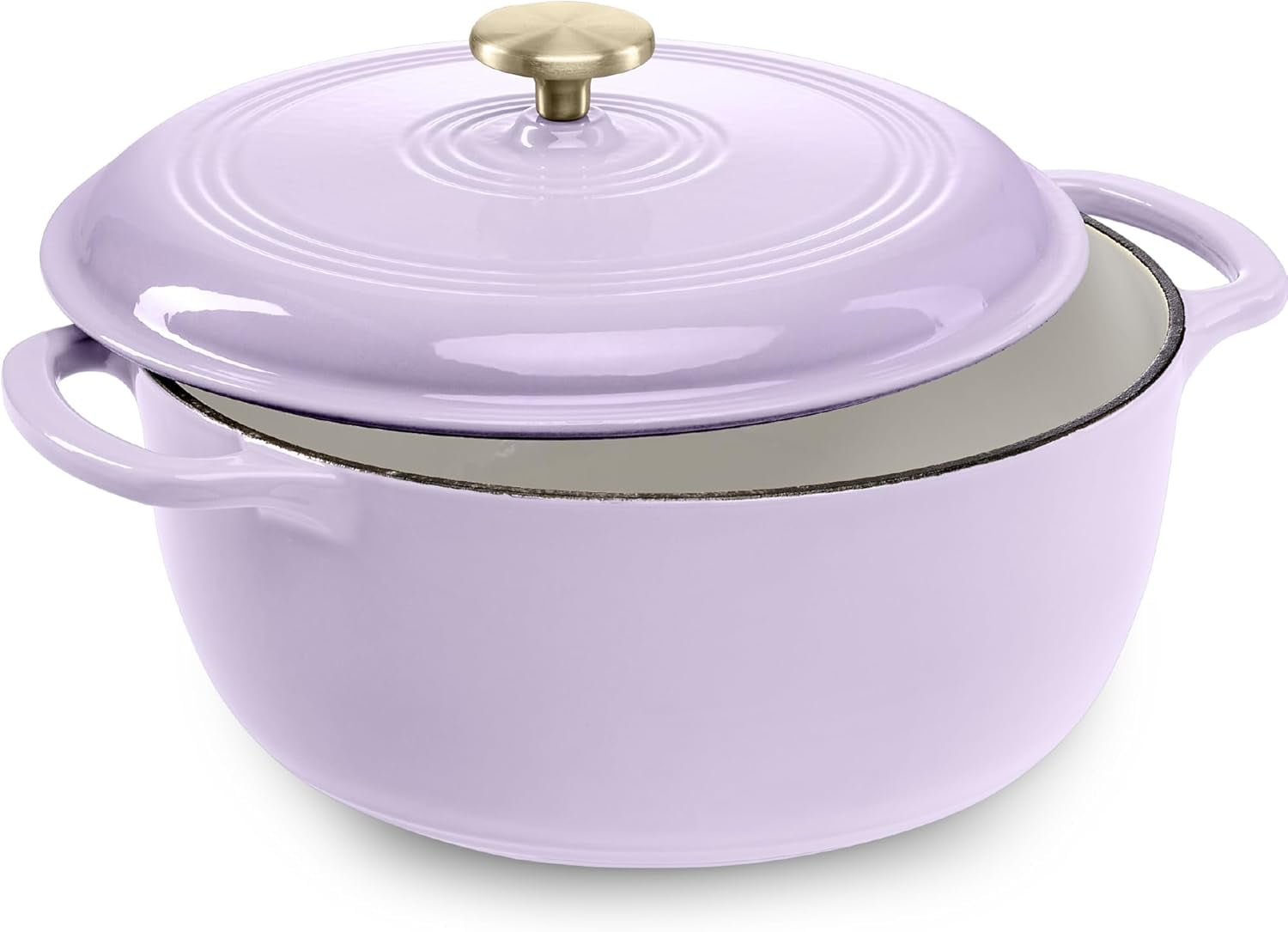 6 Quart Round Dutch Oven, Heavy-Duty Enamel Coated Cast-Iron, Pre ...