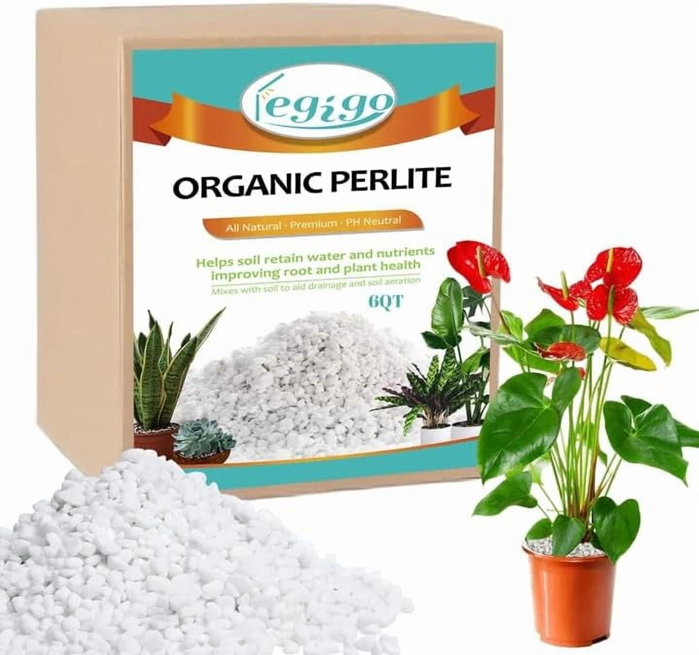 6 Quarts Organic Horticultural Perlite for Plants Indoor- Natural ...