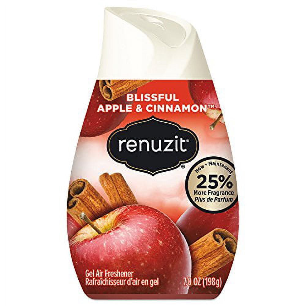 Renuzit Blissful Apple & Cinnamon, 7 oz, 2 Pack - Walmart.com
