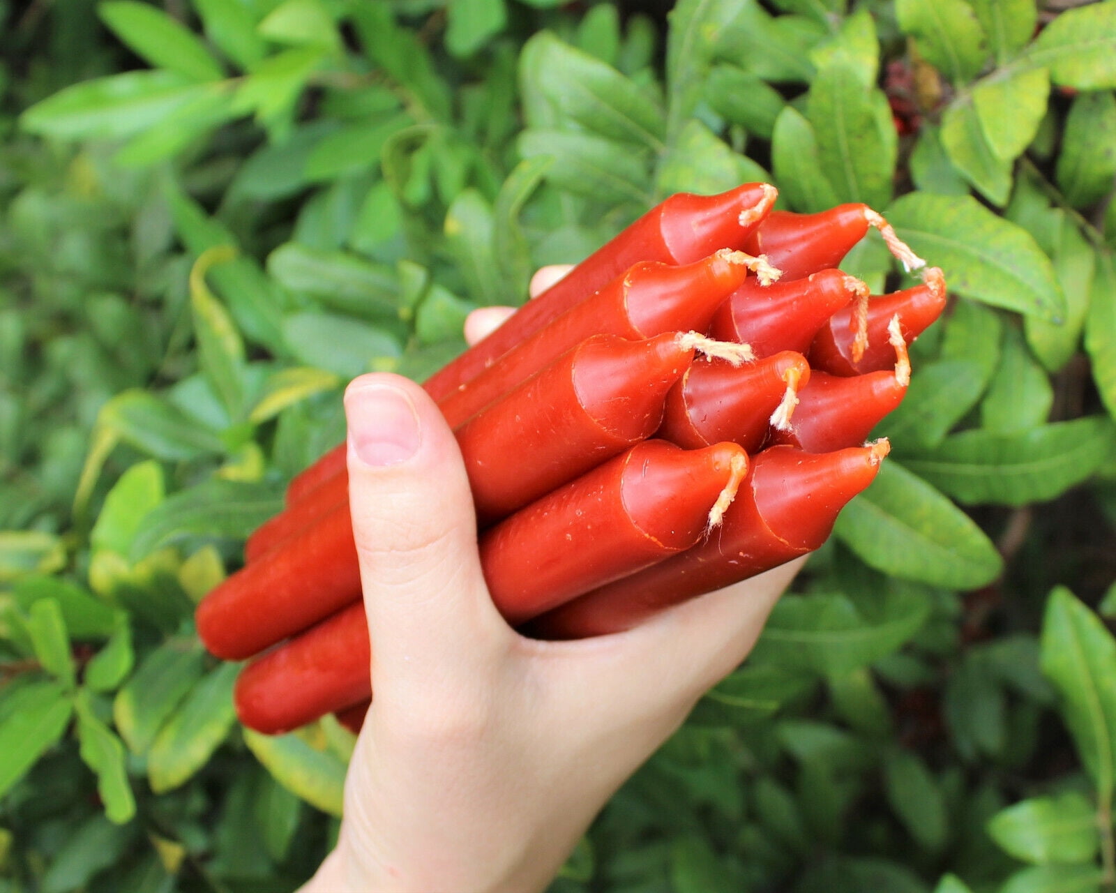 6" Ritual Candles | Bundle of 7 | Wiccan Magick Taper Candles for ...