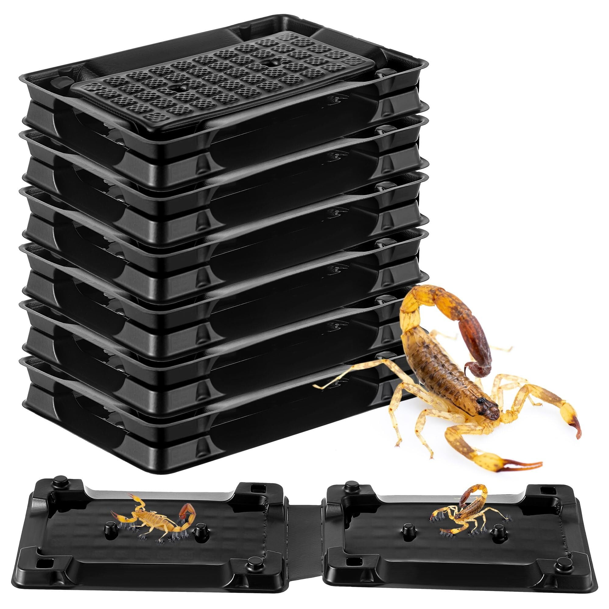 6 Scorpion & Spider Glue Traps, Indoor Insect Catcher for Crawling ...