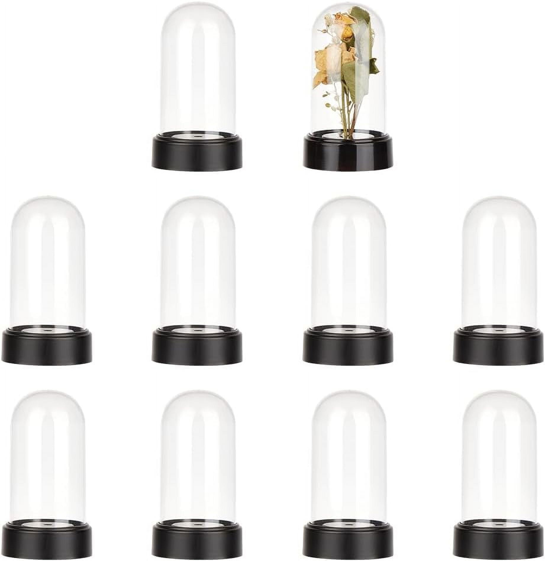 6 Sets Plastic Display Dome Cloche Display Dome Case with Acrylic Base ...