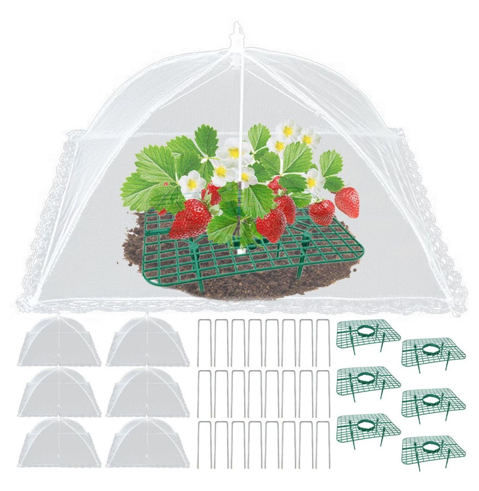 6 Sets Strawberry Supports with 24 Ground Square Strawberry Growing ...