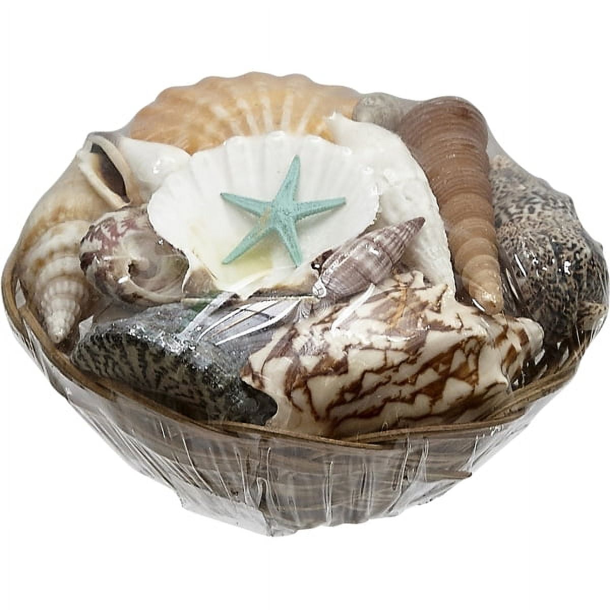 6 Shell Packs in 4" Baskets Assorted Sizes Office Party Gift (Set of 6) - Walmart.com