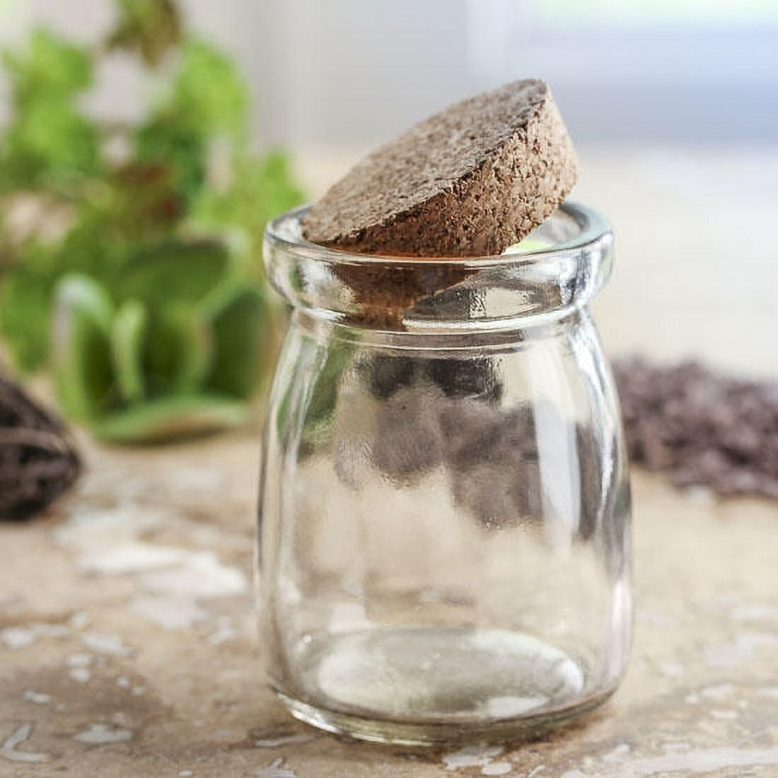 6 Small Corked Clear Glass Jars: Airtight, and Reusable for Food ...