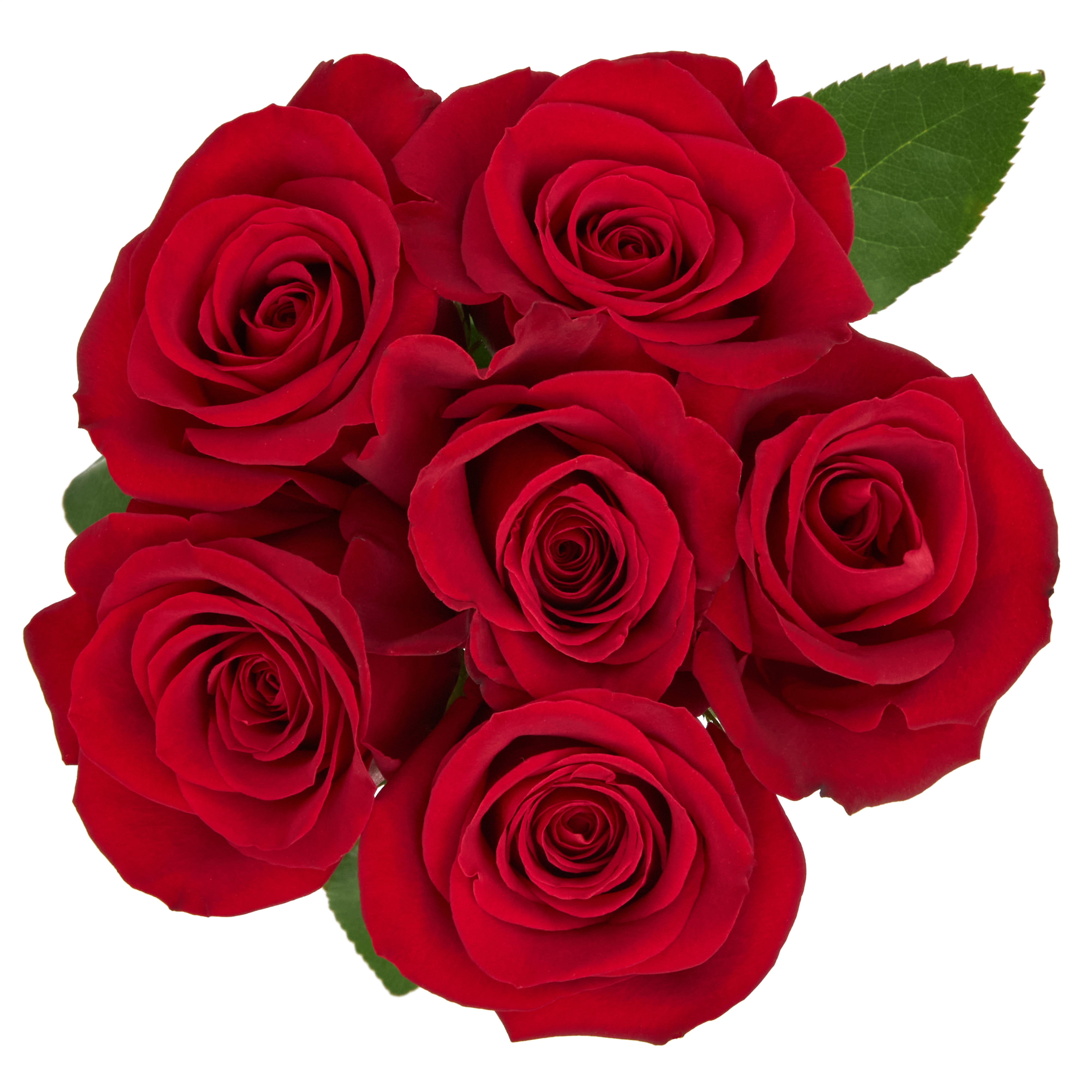 Red Roses 6 Stem - Walmart Business Supplies