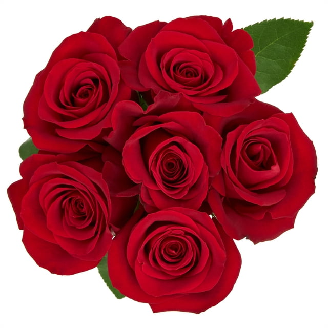 Red Roses 6 Stem - Walmart Business Supplies