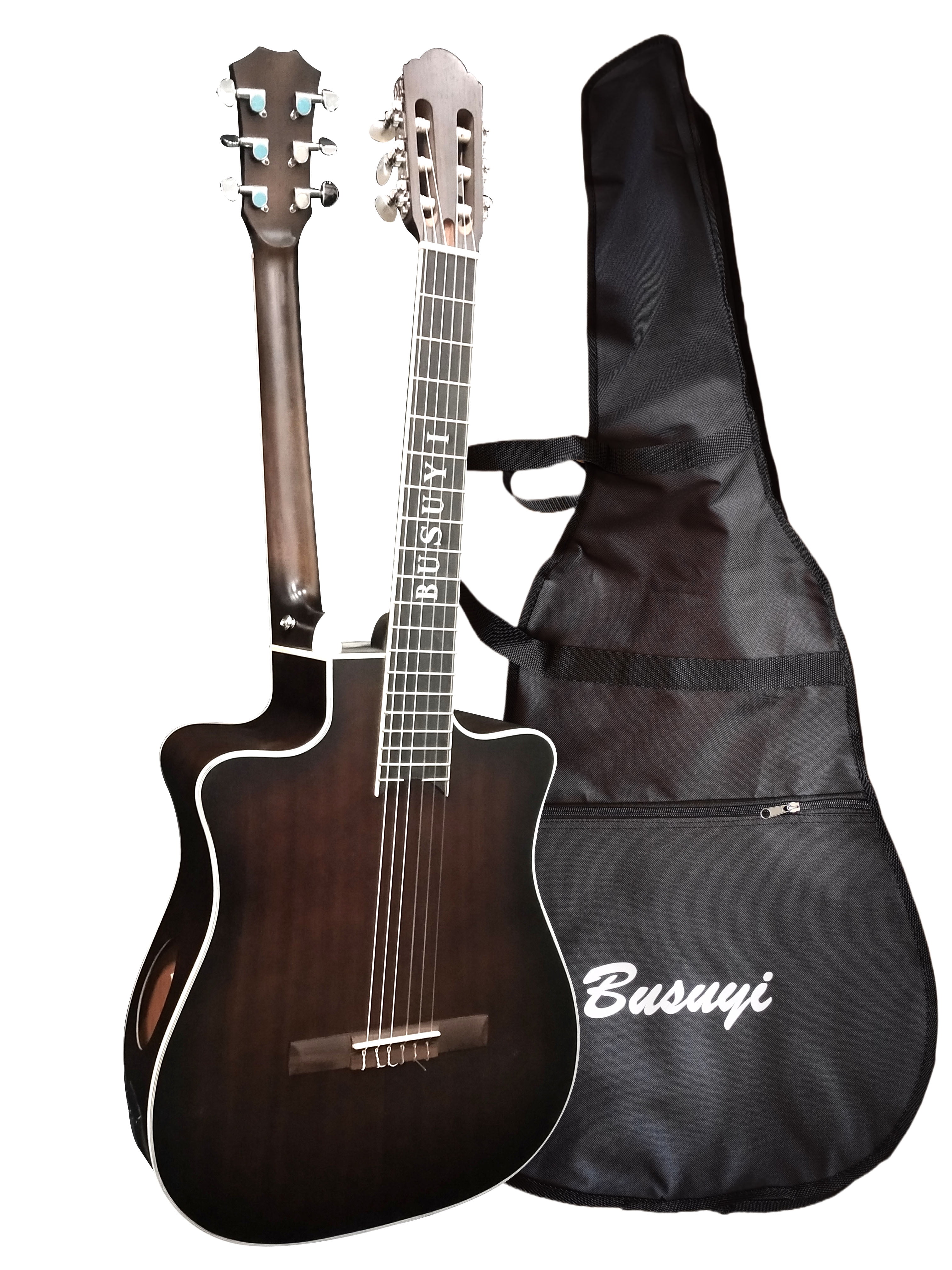 6 Strings classical /6 Strings Acoustic Double Neck, Double Sided ...