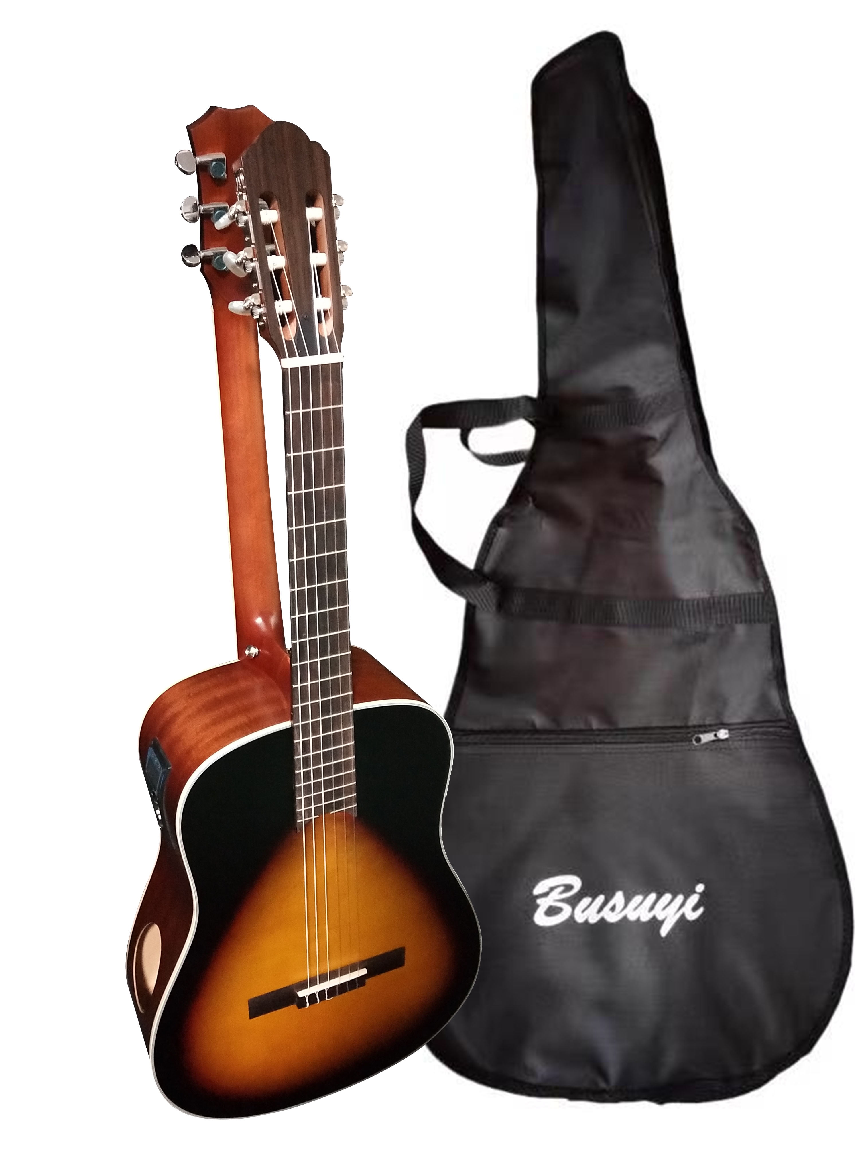 6 Strings classical /6 Strings Acoustic Double Neck, Double Sided ...