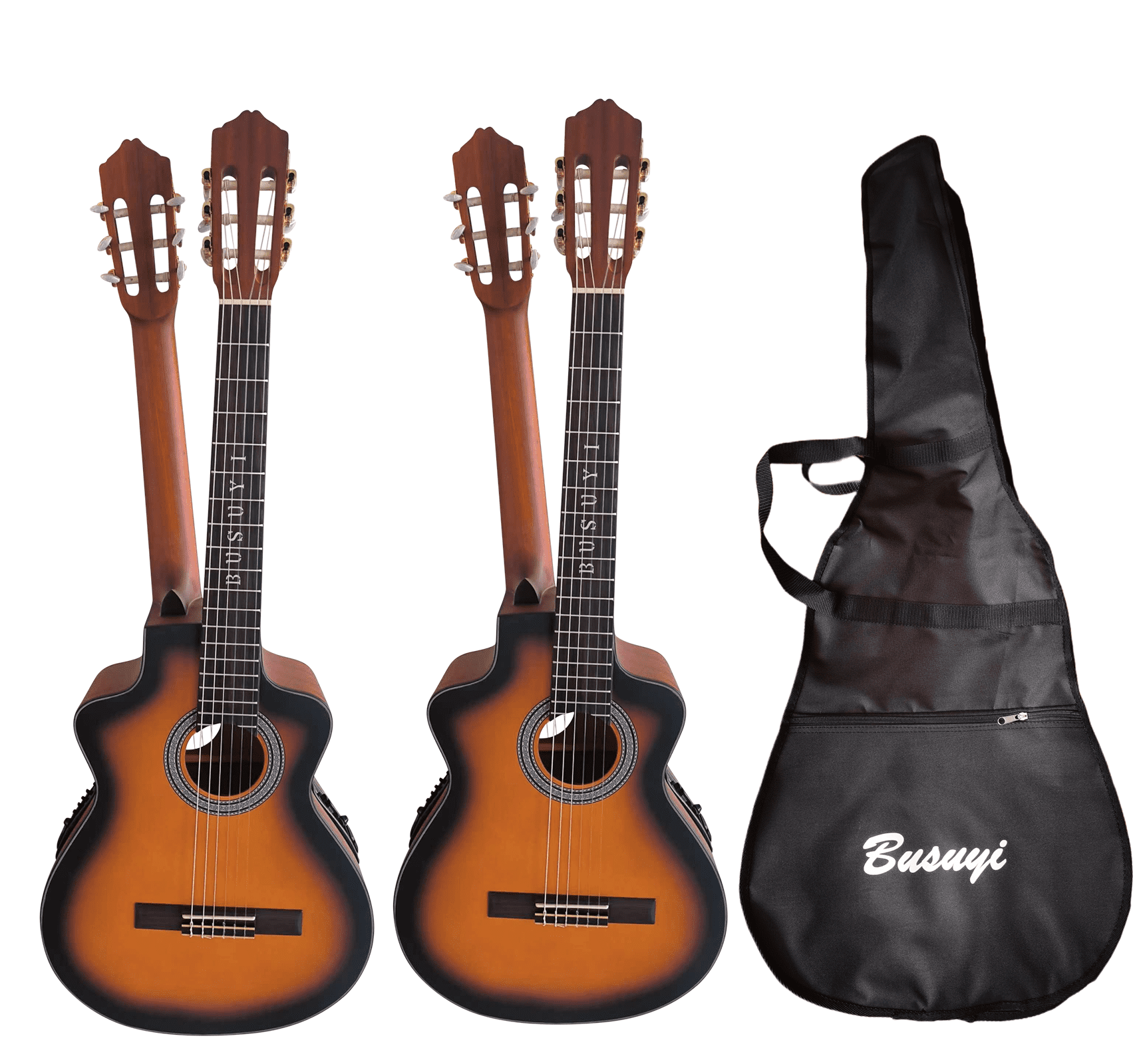 6 Strings classical /6 Strings Classical Double Neck, Double Sided ...