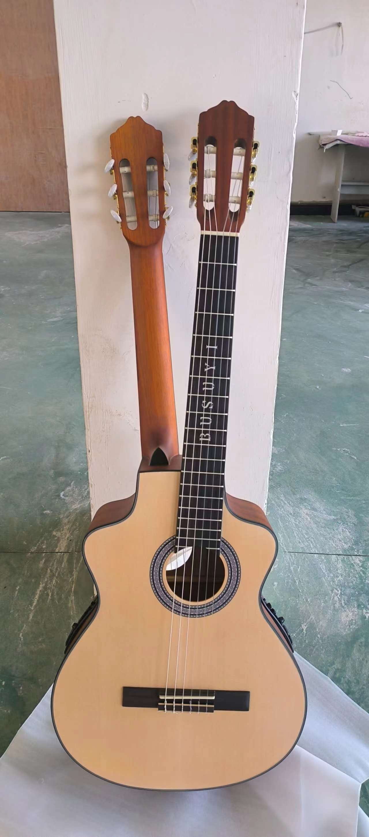 6 Strings classical /6 Strings Classical Double Neck, Double Sided ...