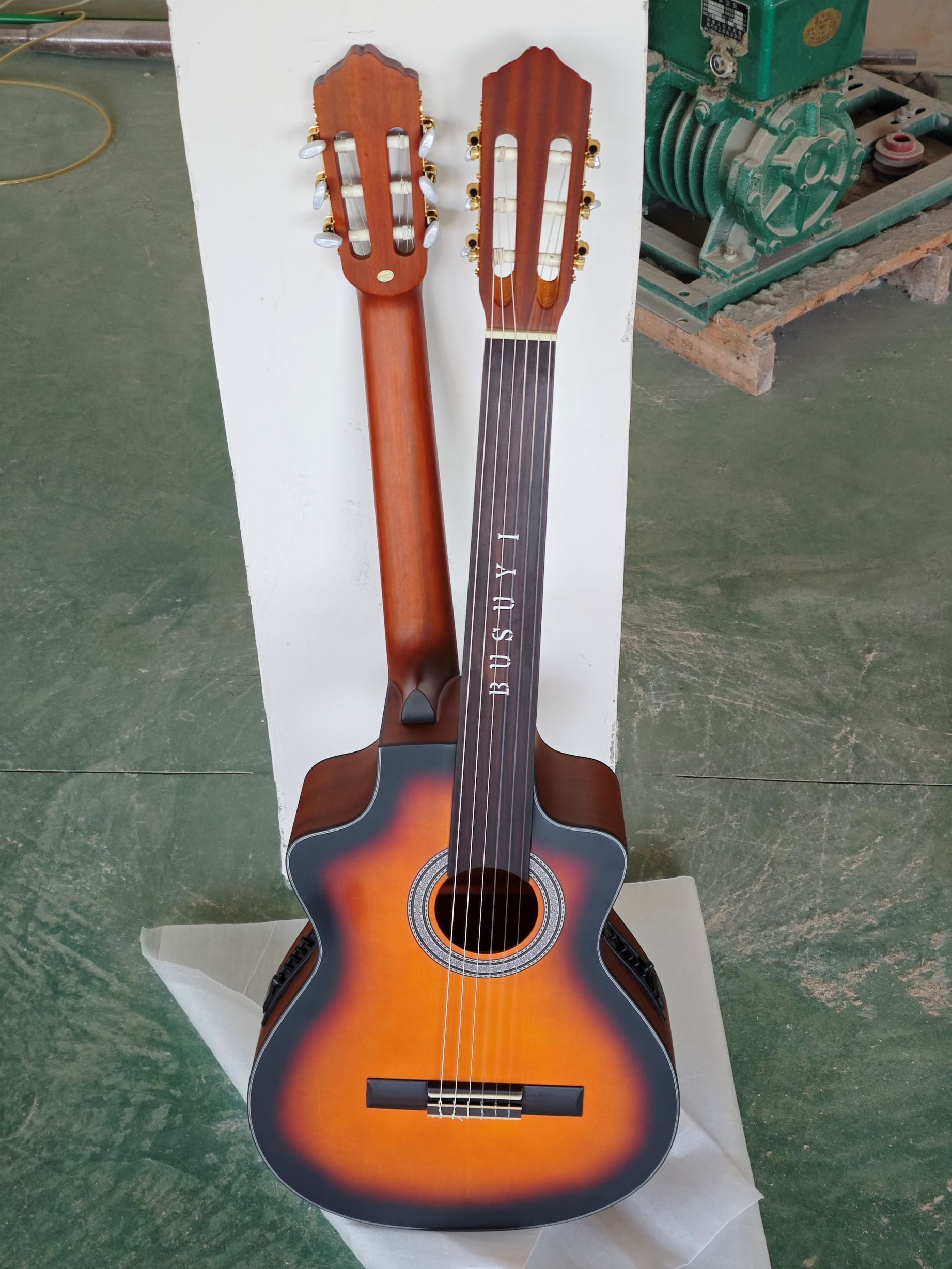 6 Strings classical /6 Strings Fretless Classical Double Neck, Double ...