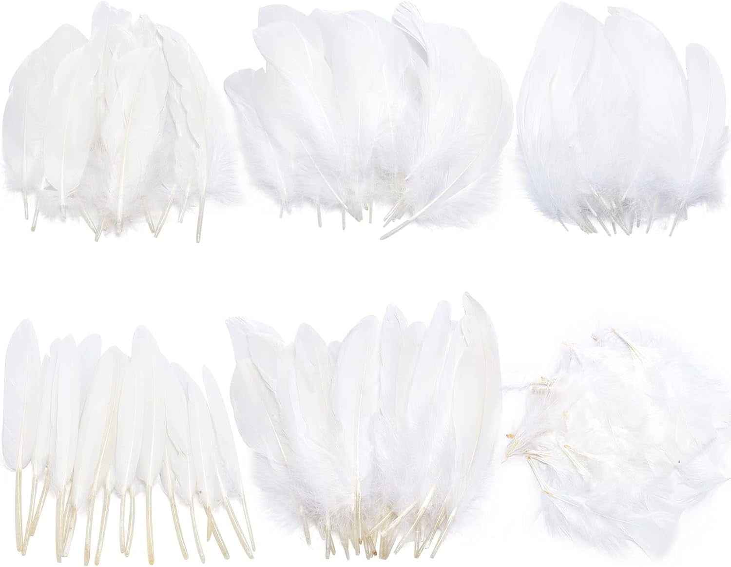 6 Style 240PCS White Craft Feathers Bulk Natural Decorative Feather ...