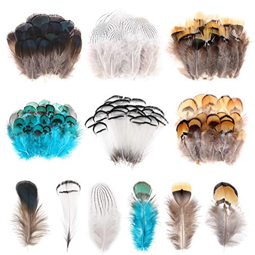 6 Styles Assorted Crafts Feathers, 120Pcs DIY Dreamcatcher Crafts Art ...