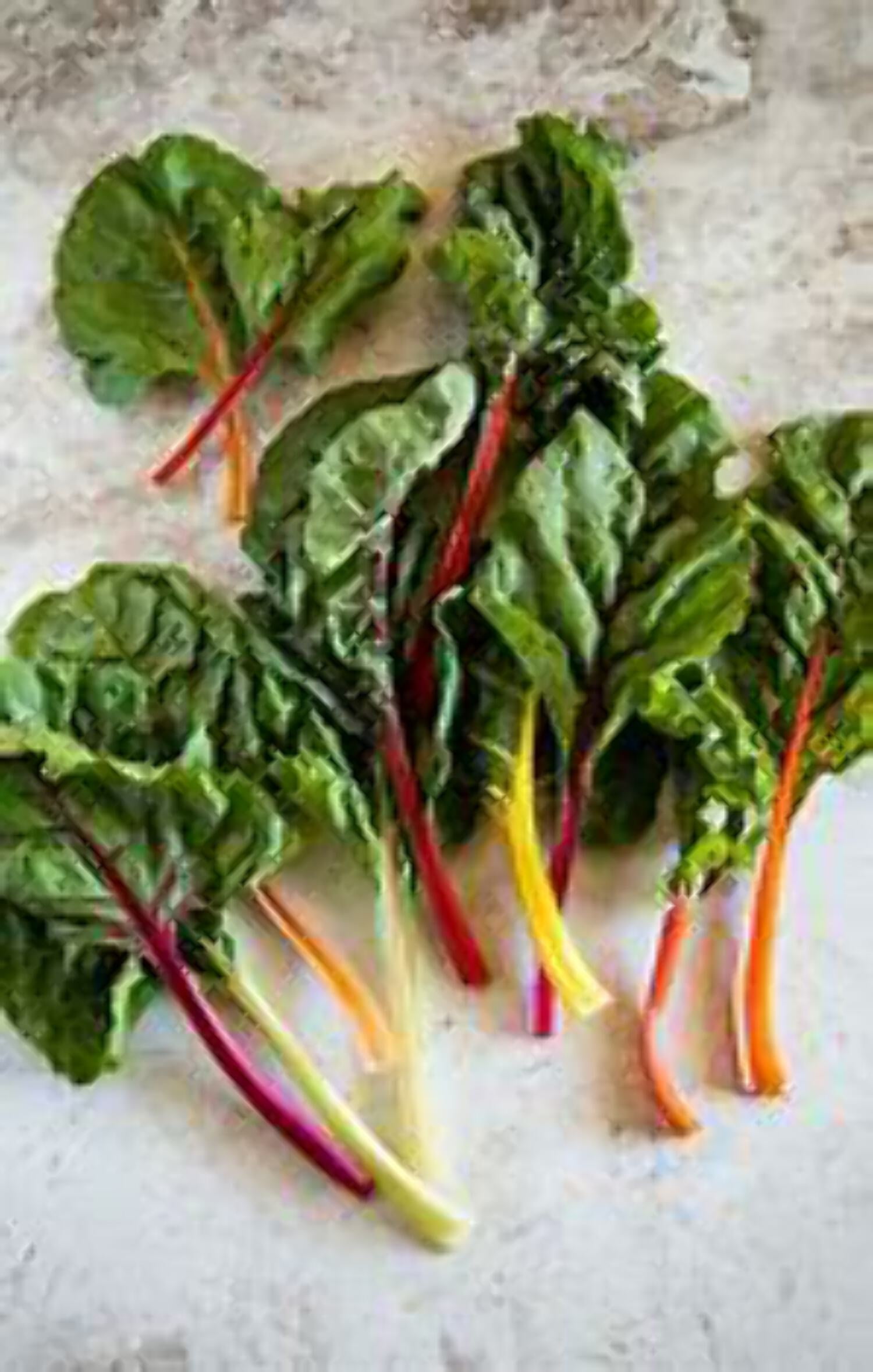 6 Swiss Chard Plants (2.5" Pots), Annual Vegetable, Full Sun - Walmart.com