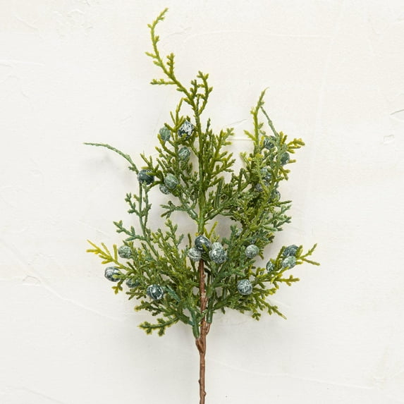 6 Weatherproof Oregon Juniper Sprays - Bring Nature's Beauty to Your ...