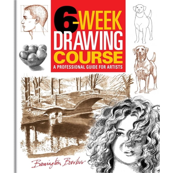 6-Week Drawing Course: A Professional Guide for Artists, (Paperback ...