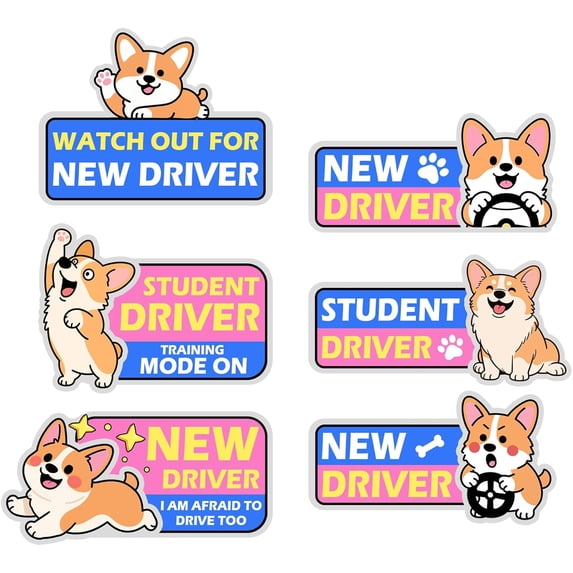 6 count Beginner Stickers, Beginner Supplies for Student Driver Sign ...