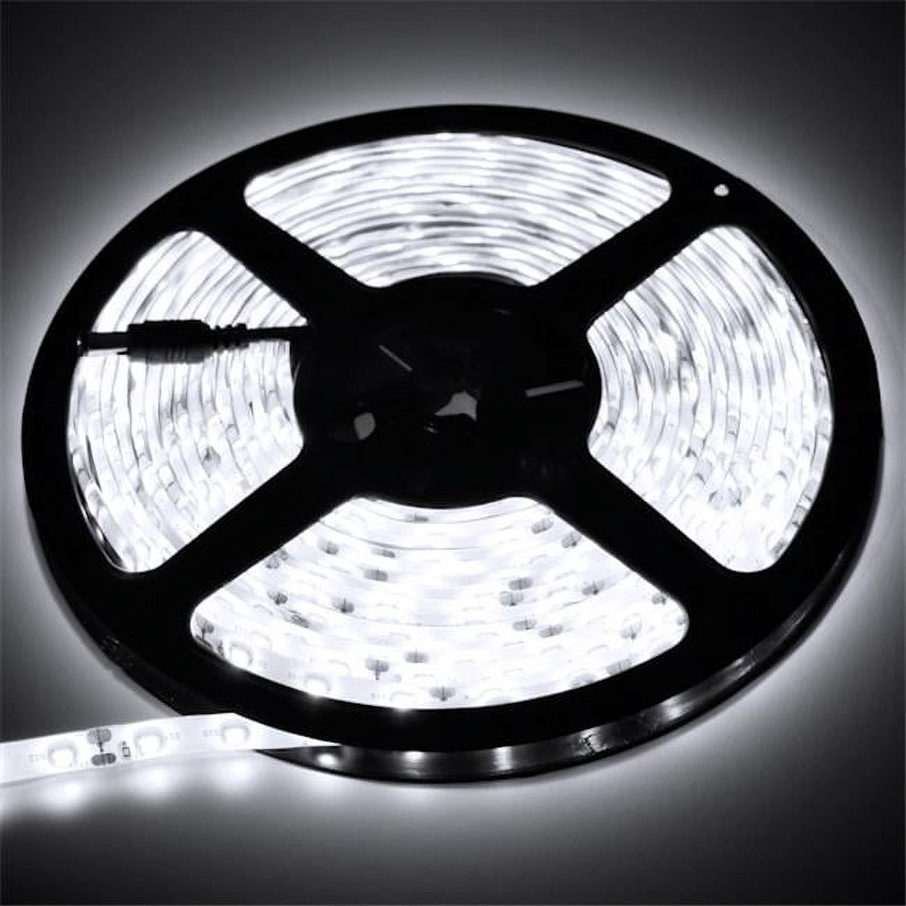 6 ft. 110V Cool White 114 LEDs Light Remote Control Dimmer SMD3528 LED ...