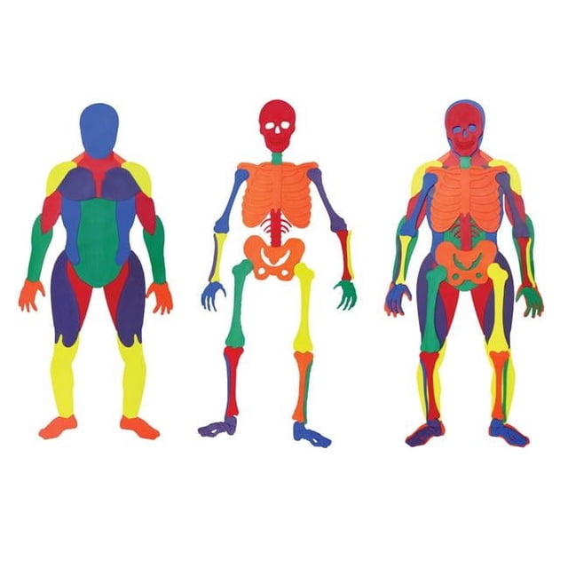 6 ft. 2 in. Muscle Man & Bone Puzzle Set, Poly - Walmart.com