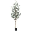 6 ft Tall Large Indoor Faux Moringa Oleifera Tree in Pot, Artificial ...