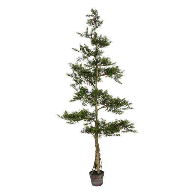 6 ft. Potted Cedar Tree 390-Leaves - Walmart.com