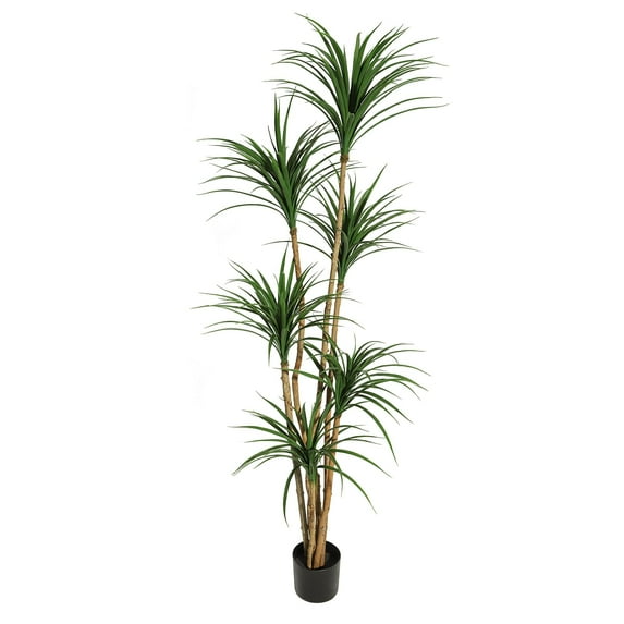 6 ft Tall Artificial Dracaena Tree - Realistic Faux Silk Plant with ...