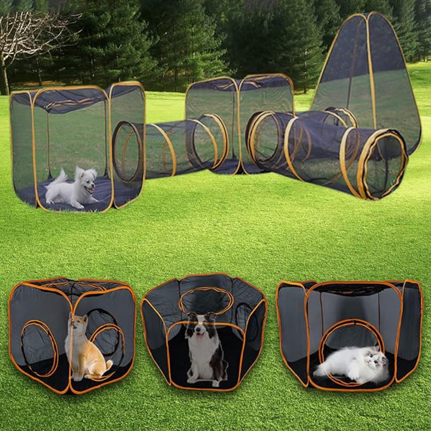 6-in-1 Cat Tent Cat Play Tunnel for Indoor and Outdoor Portable Pet Cat ...