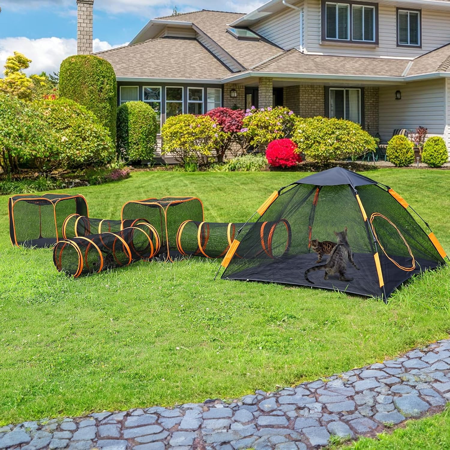 6-in-1 Outdoor Cat Enclosures for Indoor Cats, Portable Mesh Cat Tents ...