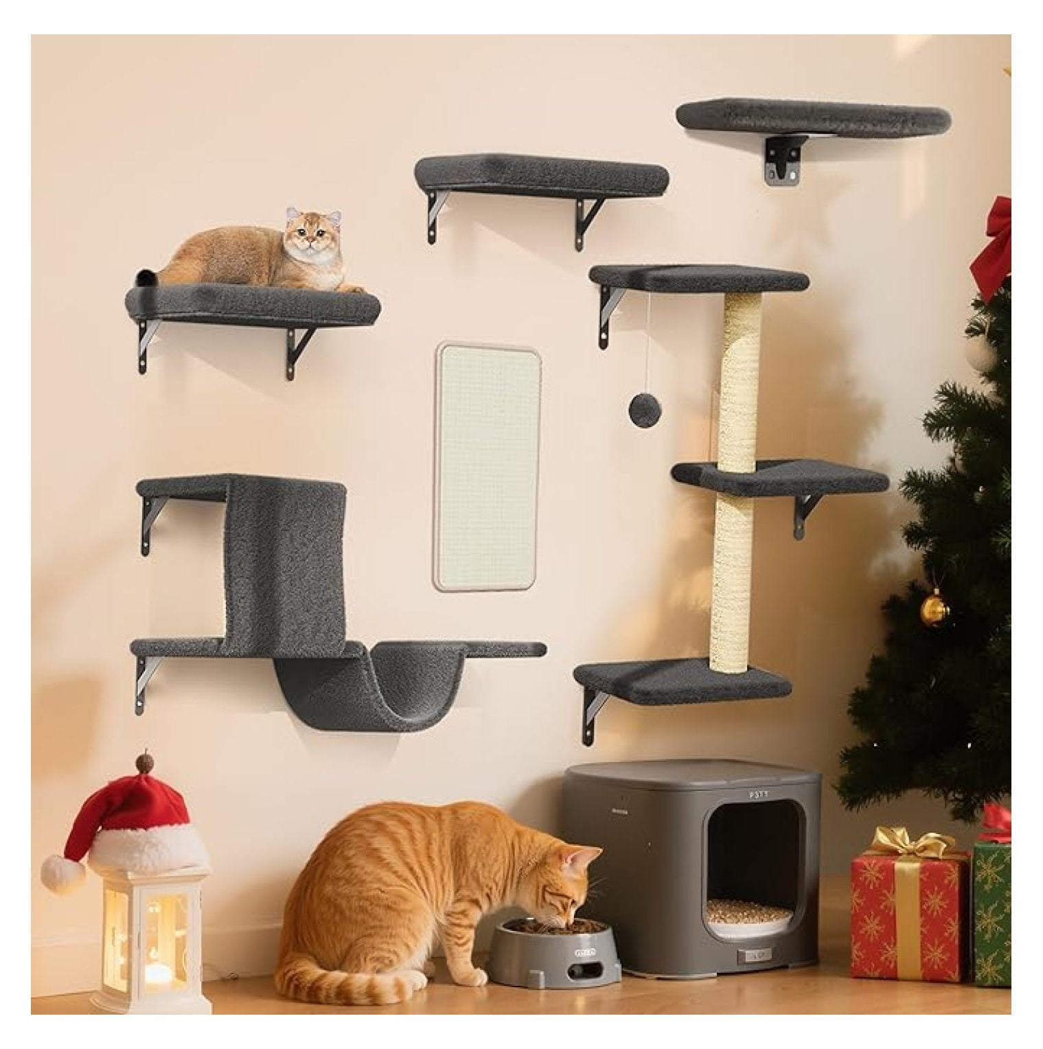 6-in-1 Wall Mounted Cat Climber Set for Heavy Cats,Wall Shelves,Stable ...