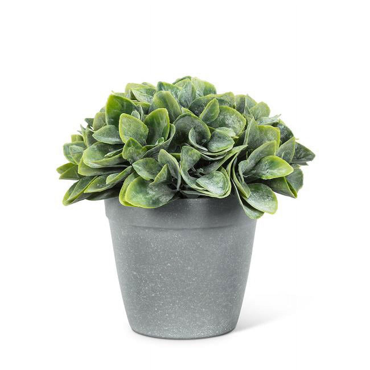 6 in. Spade Leaf Potted Plant Faux Plants & Trees, Green - Walmart.com