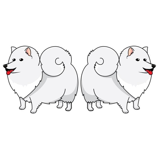 6 in. Super Cute Dog Decal - American Eskimo Dog - Pack of 2 - Walmart.com