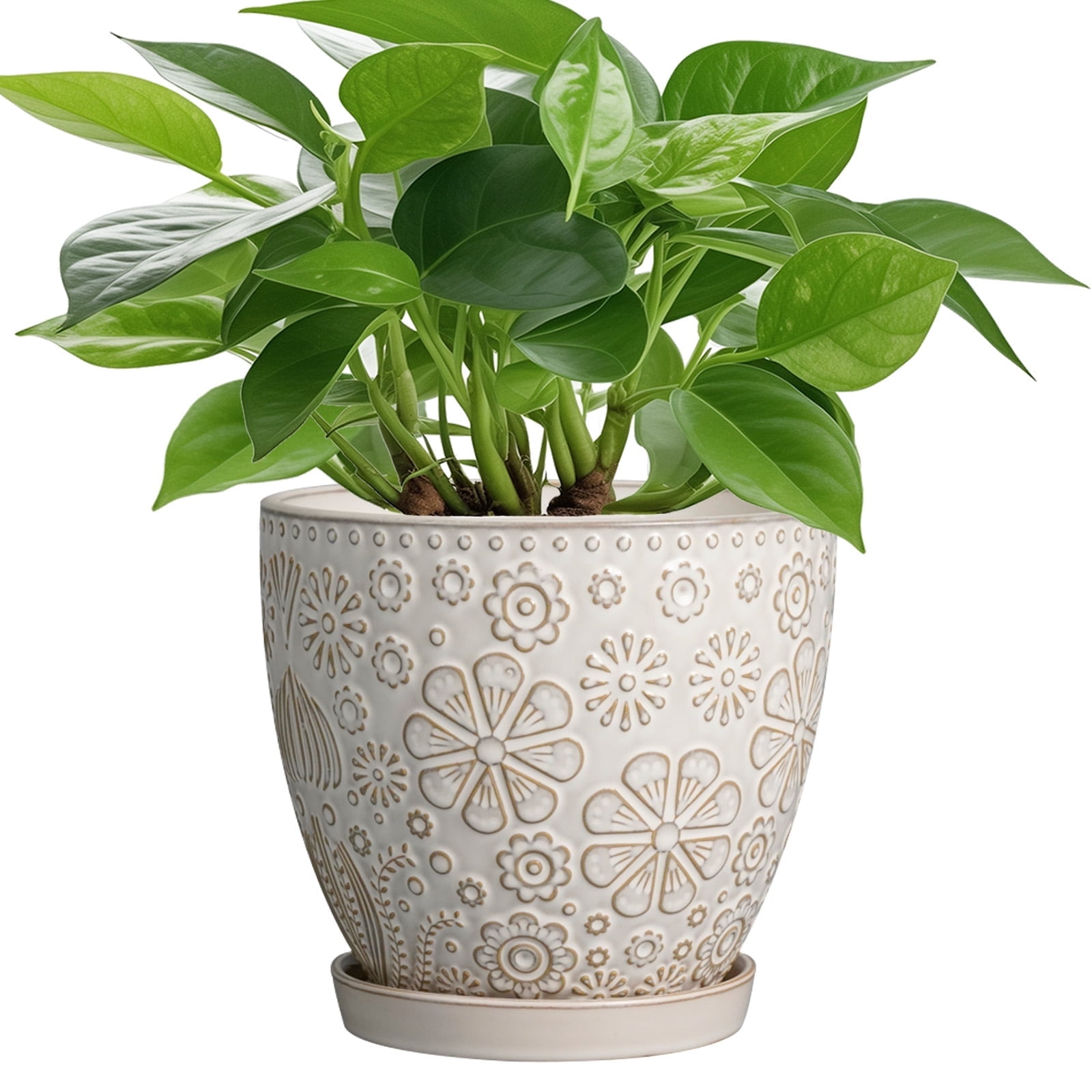 6 inch Ceramic Planter, Round Pots for Plants with Saucer, Modern Pot ...
