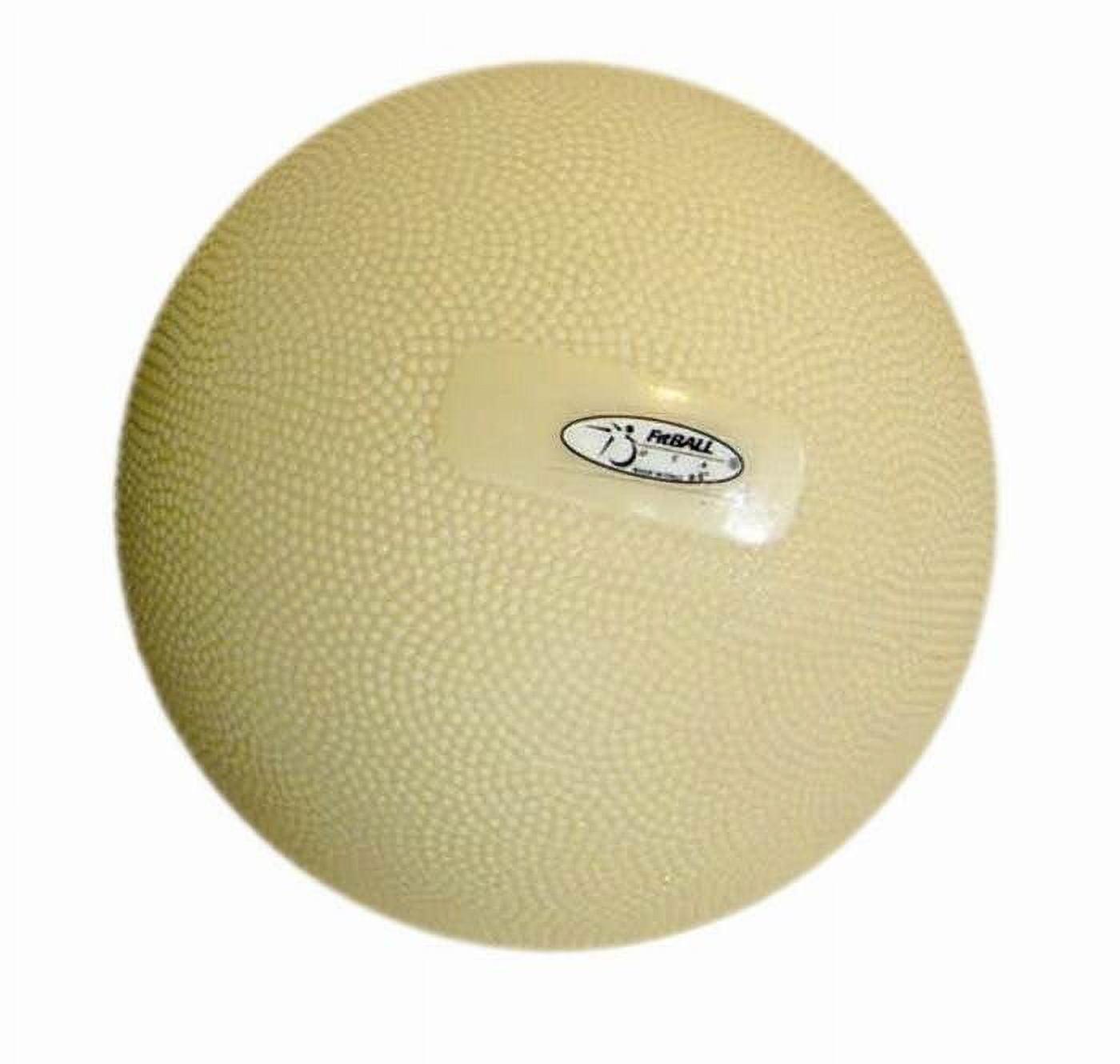 6-inch FitBALL Intermediate Body Therapy Ball w White Finish - Walmart.com