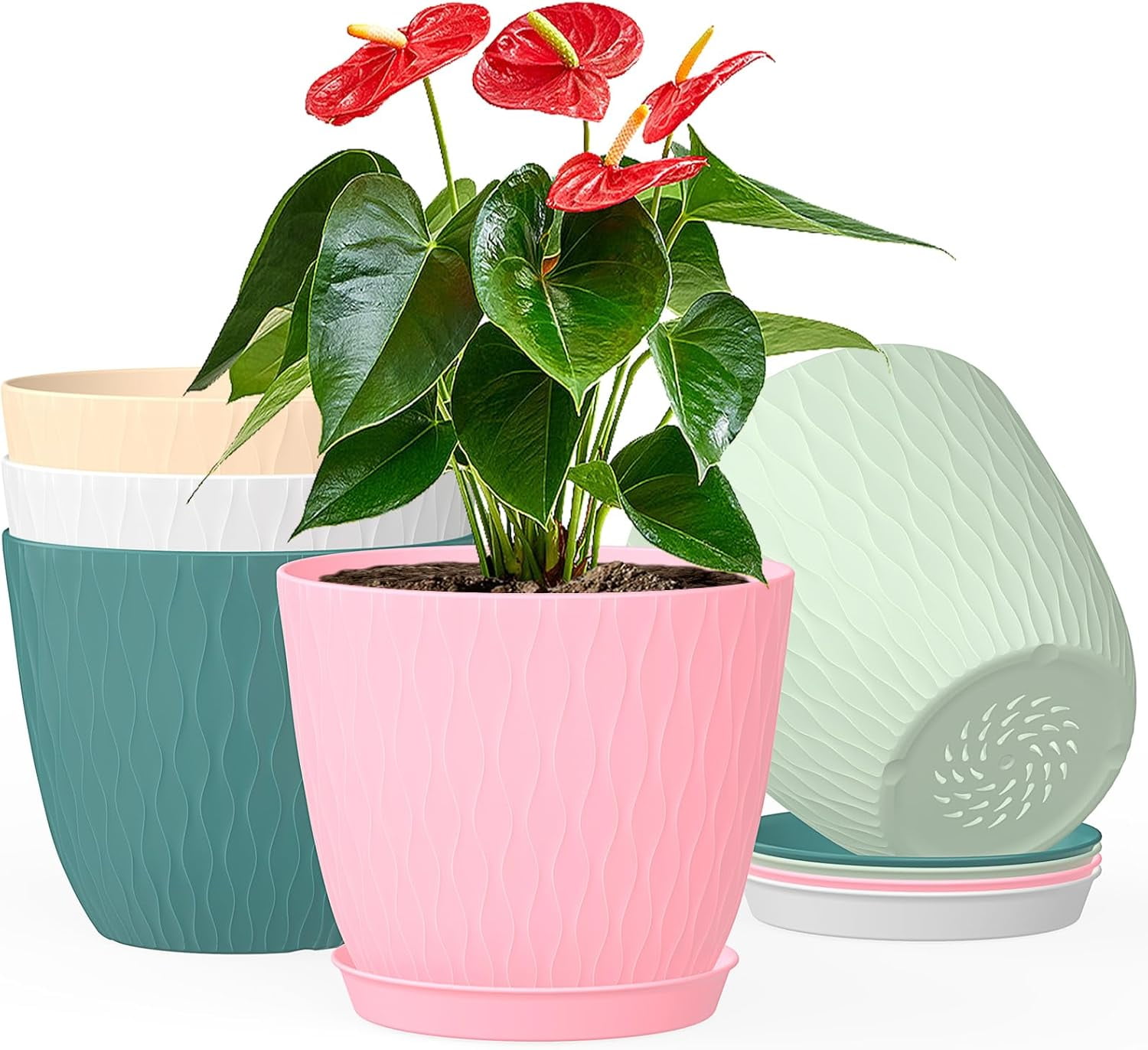 6 inch Flower Pots for Indoor Plants, 5 Pack Plant Pots with Drainage ...