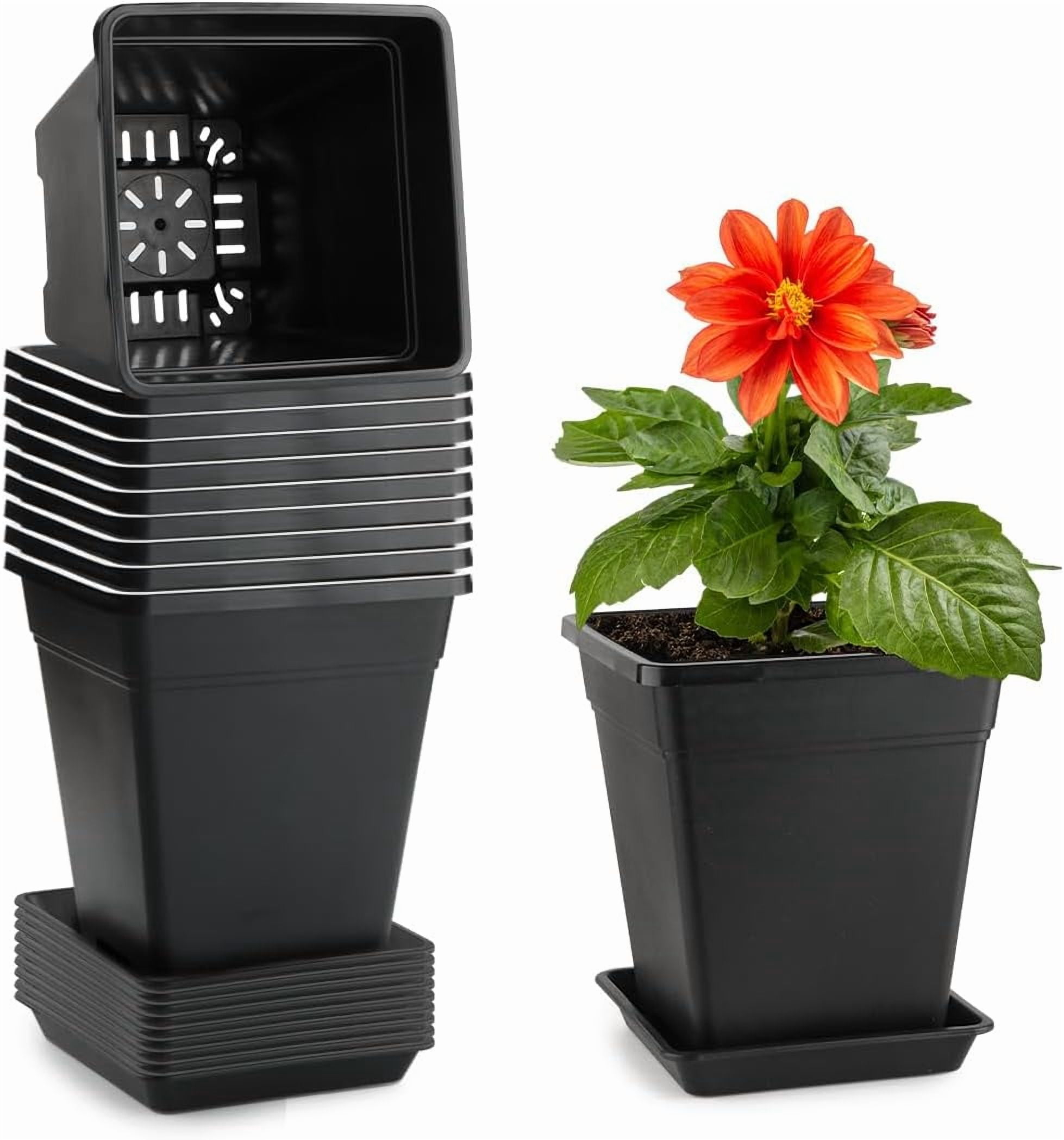 6 inch Plant Pots, 10 Pack Flower Pots Outdoor Indoor, Square Plastic ...