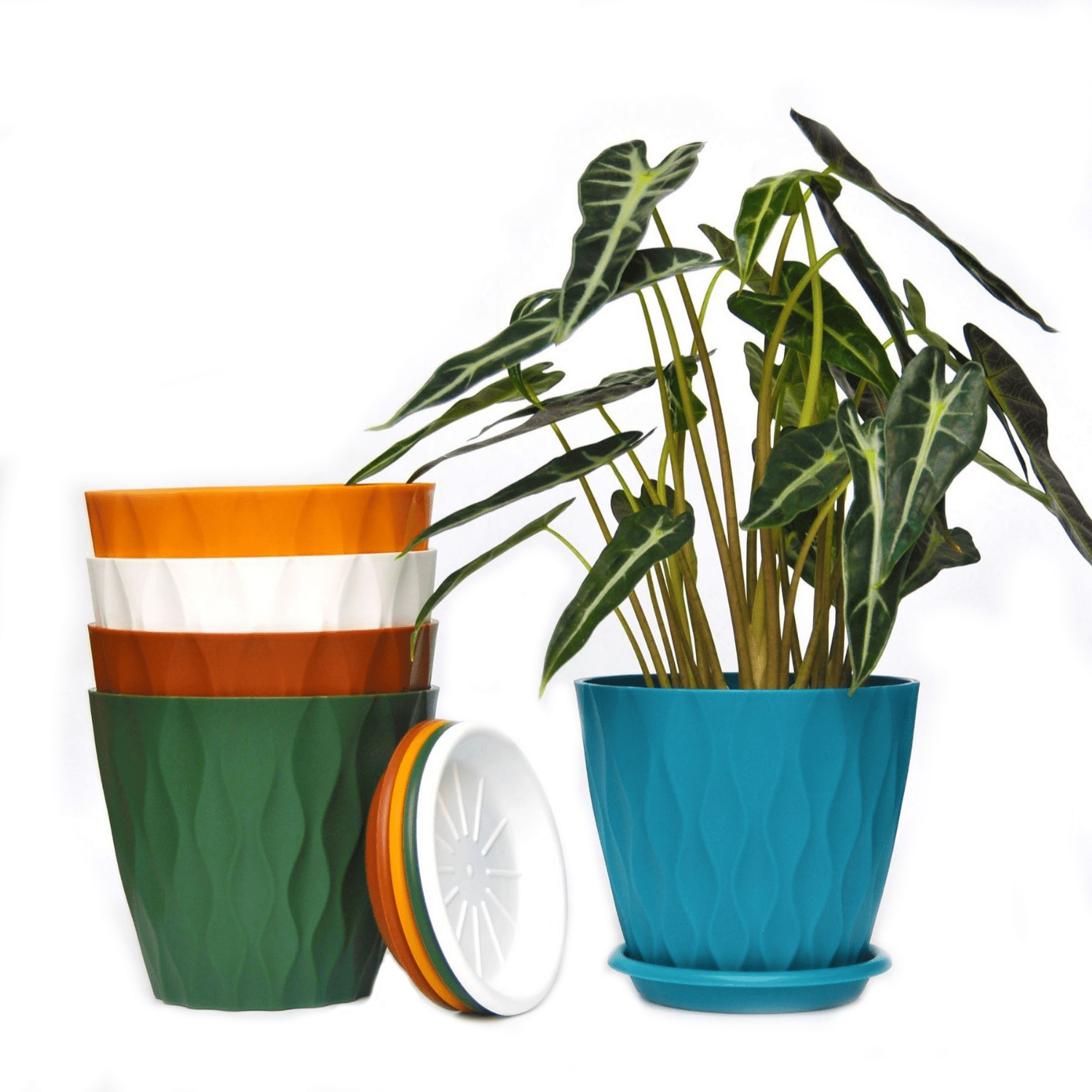 6 inch Plant Pots, 5 Pack Flower Pots Outdoor Indoor, Planters with ...
