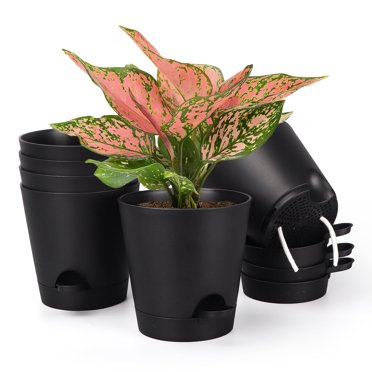 Fabulas Nursery Pots Variety Pack, 5/4/3.5 inch, 36 Sets with 24 ...