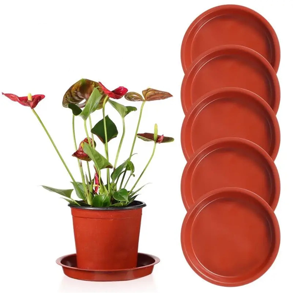 Triani 6 inch Plant Saucers, Plastic Plant Water Tray, Planter Drip ...
