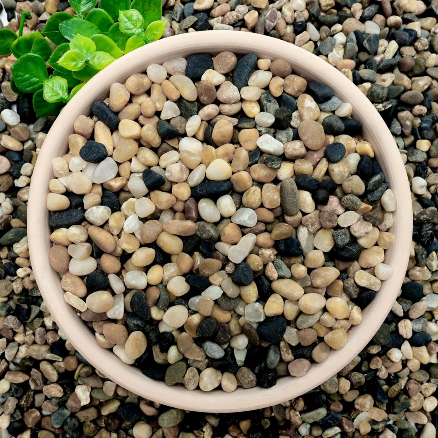 6 lb Aquarium Gravel, 1/4" Ph-Natural Pea Gravel for Fish Tank,Small ...